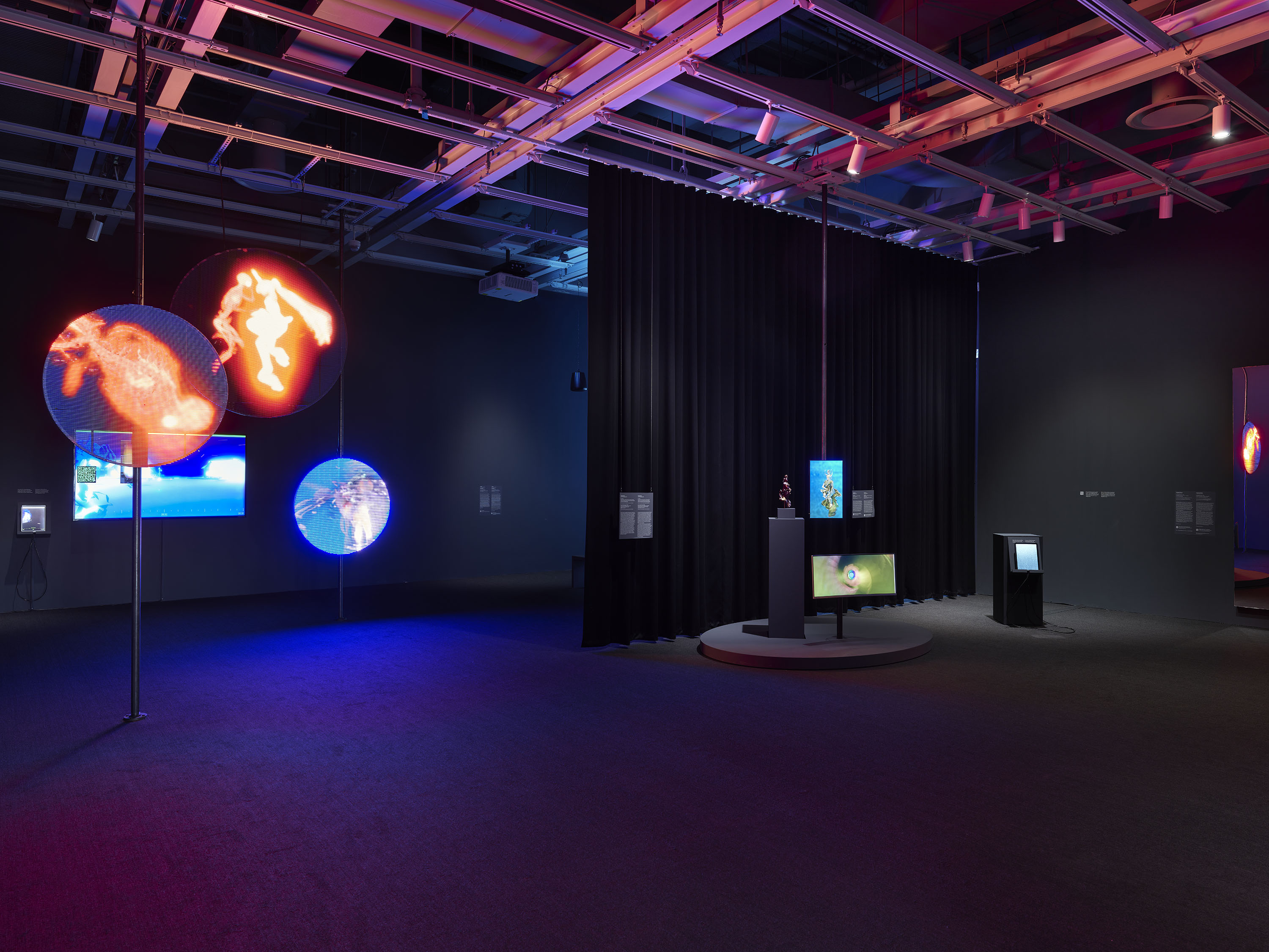 Magenta Plains | Rachel Rossin